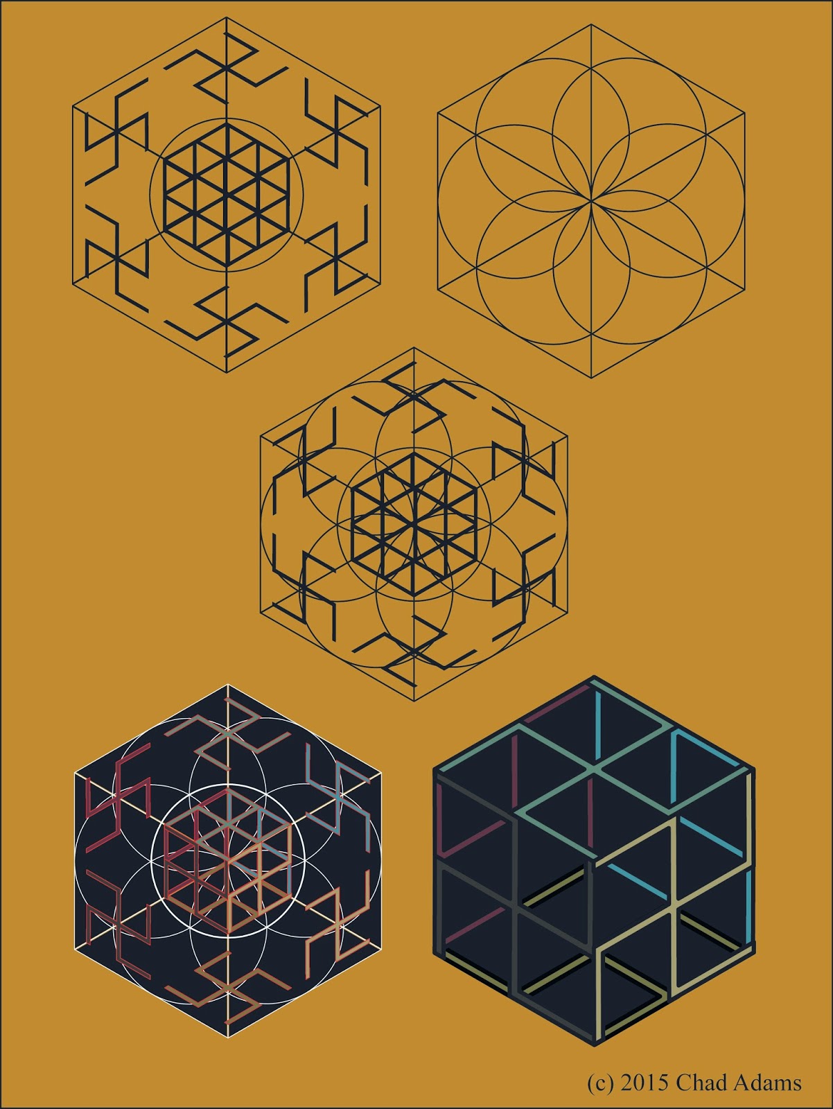 Swinging on Spirals: 3 Torus Structure with Spin States