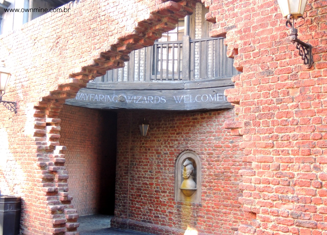 Wizarding World of Harry Potter: Beco Diagonal e King's Cross ~ Own Mine