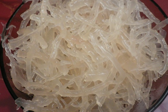 Rumput Laut Indonesia: Pengolahan Dasar Rumput Laut