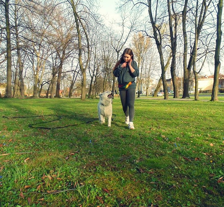 Suzi - White Princess : Dog sports