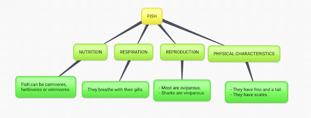Third Grade Miróbriga: enero 2017