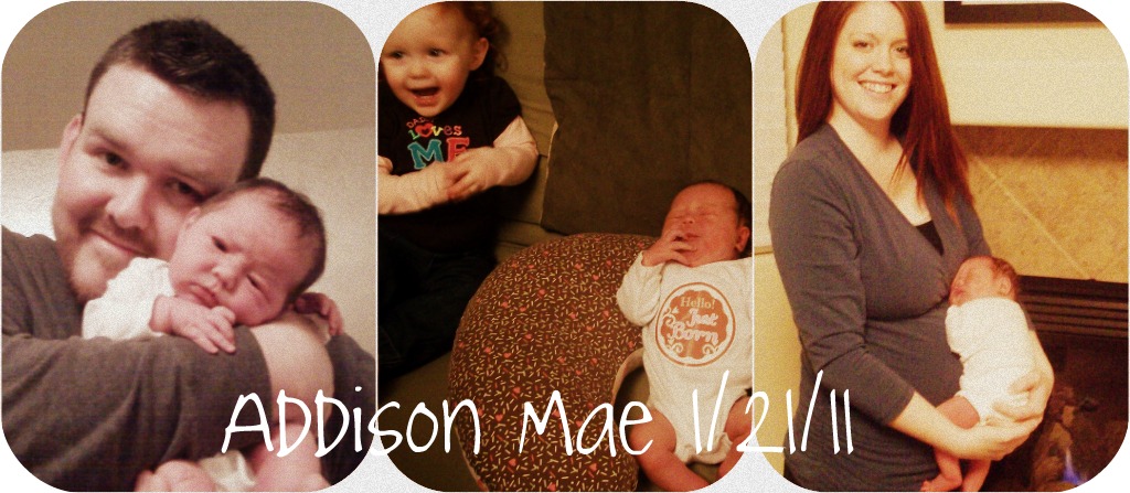 between the chaos: my pregnancies part 2: addison mae