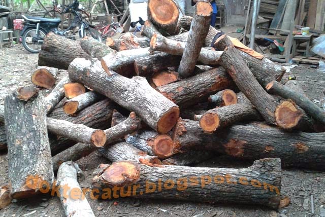 doktercatur: Tentang Kayu Sawo, Sonokeling, Duku dan Mahoni