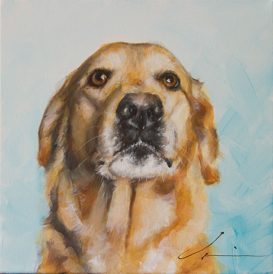 Clair Hartmann: 2016