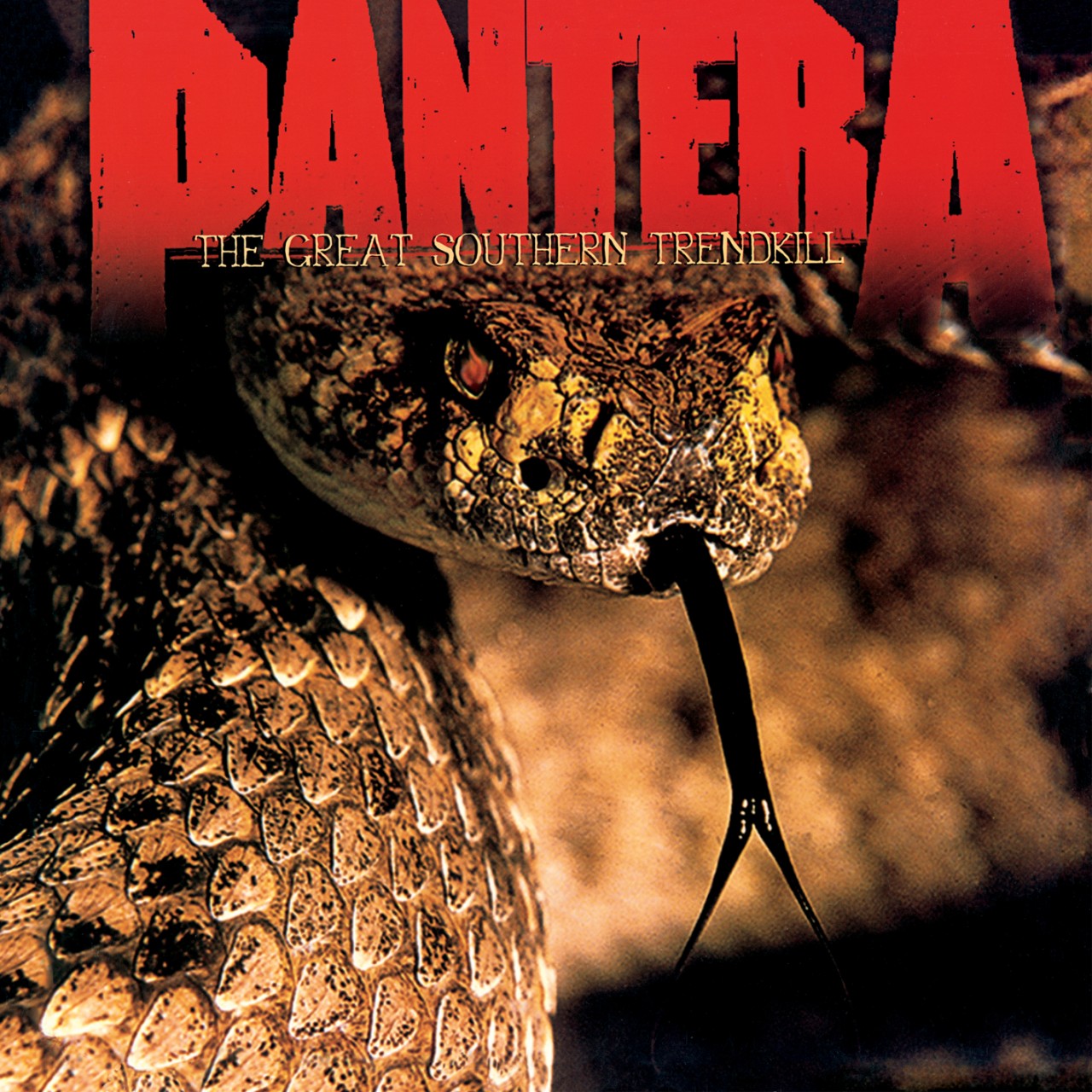 Heavy Reviews: Recensione: The Great Southern Trendkill - Pantera