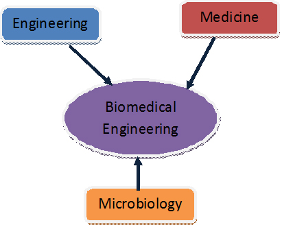 Biomedical Engineering