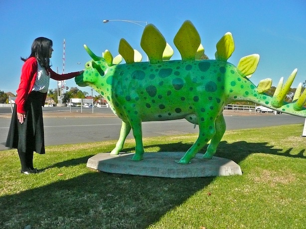The amazing adventures of Cazzbo: Shepparton Cows