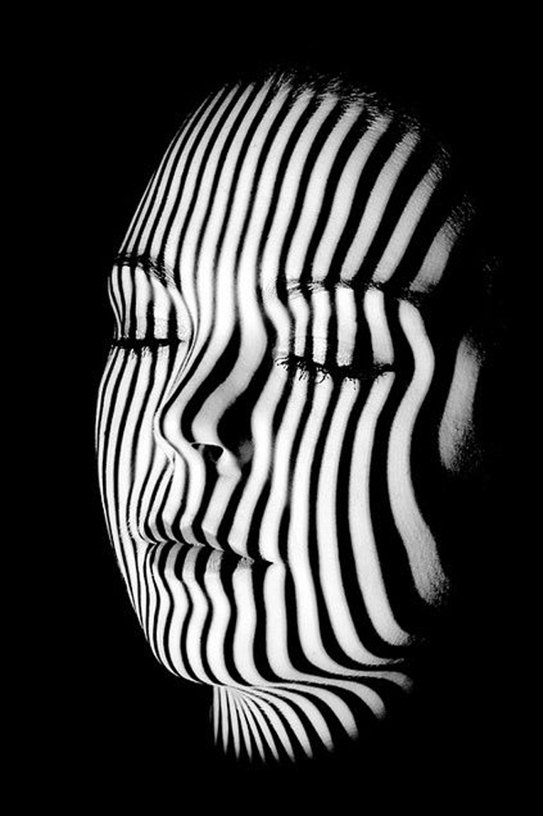 Lines Lesson: Element of Art - CVHS Photography