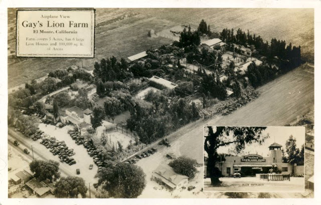 El Monte’s Wild Past: Incredible Vintage Photographs Capture Inside Gay ...