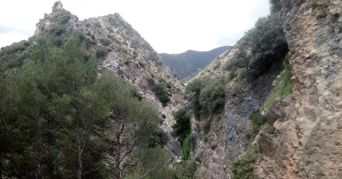 Biogéographie insulaire (island biogeography) ~ COURS