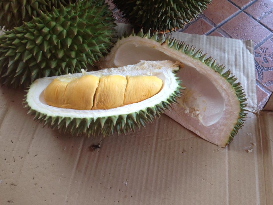 11 Jenis Durian Popular dan Laris Di Malaysia