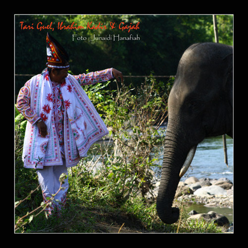 Tari Guel ~ Gallery Aceh