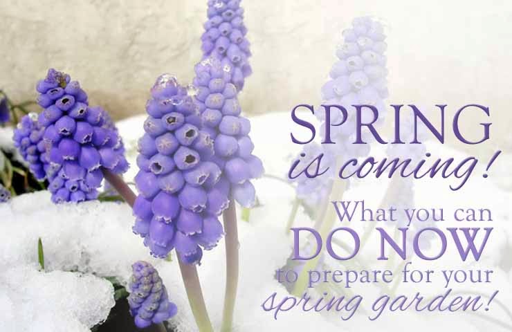 What you can DO NOW to prepare for your spring garden! | Amish Country ...