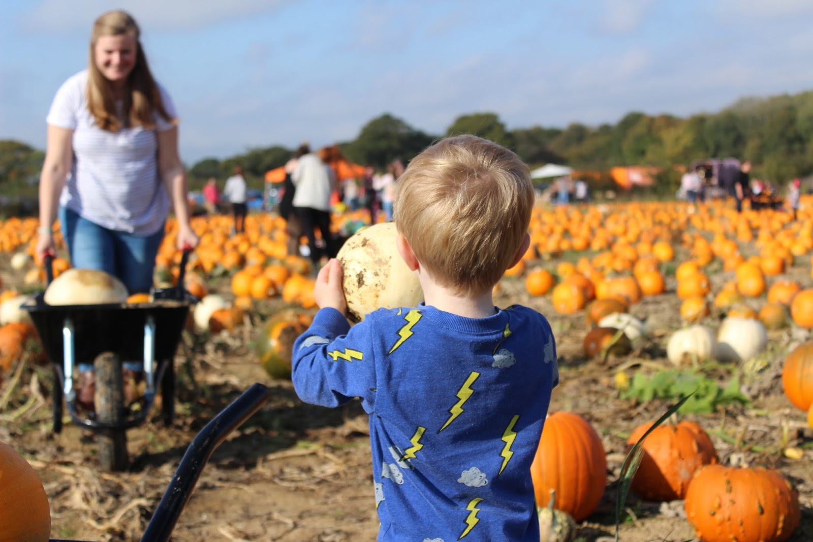 A Trip to the Pumpkin Patch | Pick Your Own Pumpkins, Ashford 2017 ...