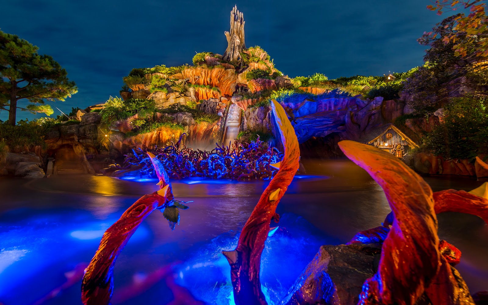 Into the Eastern Briar Patch