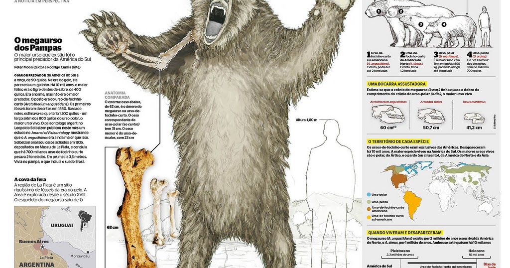 Arctotherium Angustidens