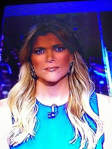 The Scat from Fox News, Commentary on Fox News Anchors, The Plastic ...