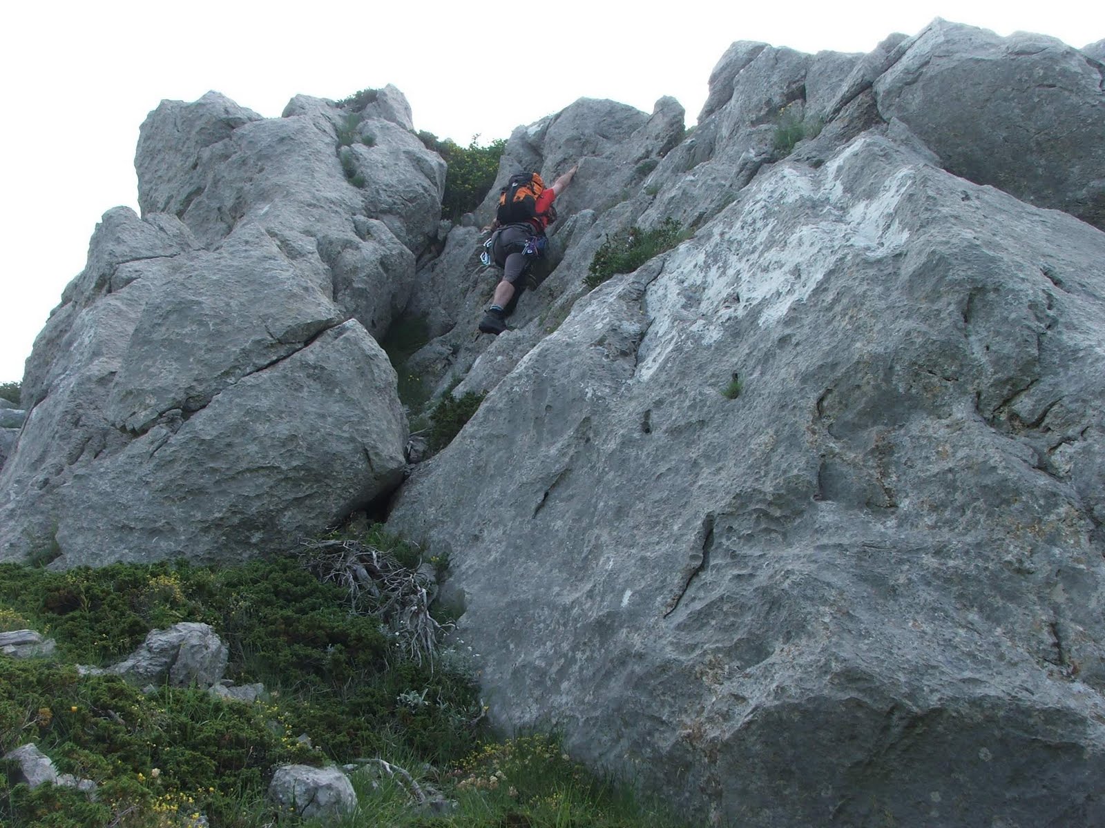 POLLINOFANTASTICO: L'anello della Falconara