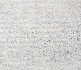 Inside the Conservator's Studio: What is Bondina? And how is it ...