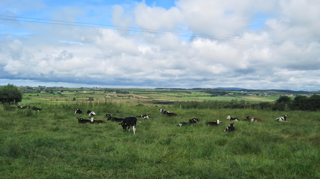 Wishful Linking Family History Blog: Step 5) From Kilmihil to Creegh ...