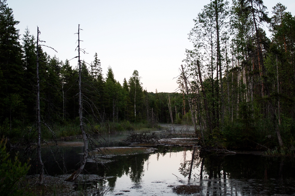 - Paranull -: Endla looduskaitseala.