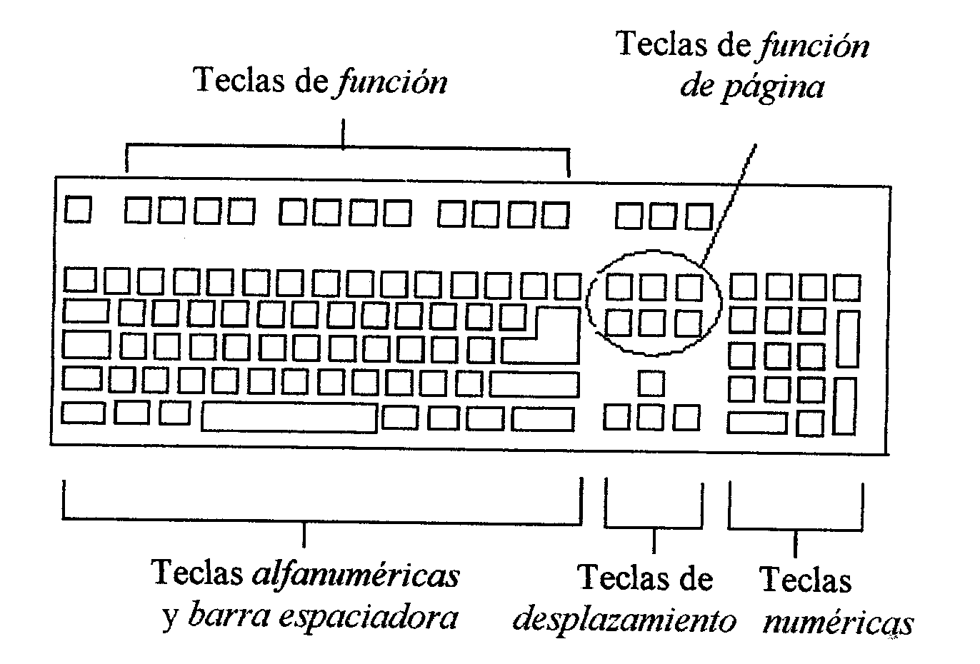 Procesadores De Texto Teclas De Funcion