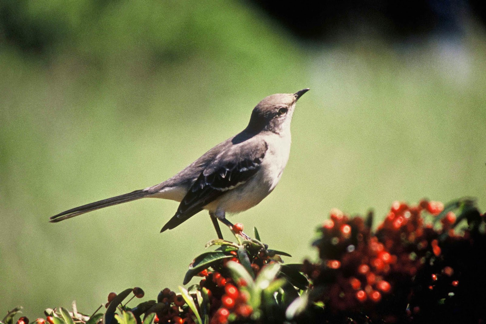 ruth.the.writer: 2014