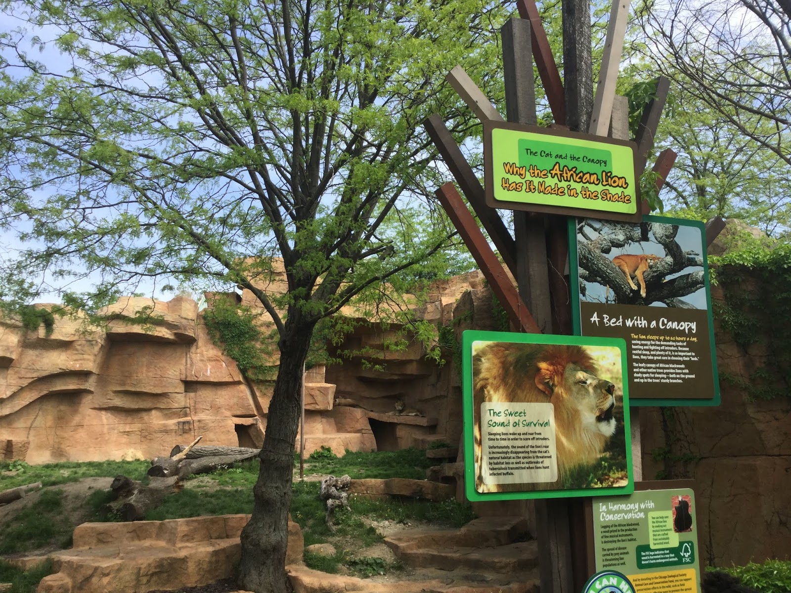 Field Trip to the Brookfield Zoo