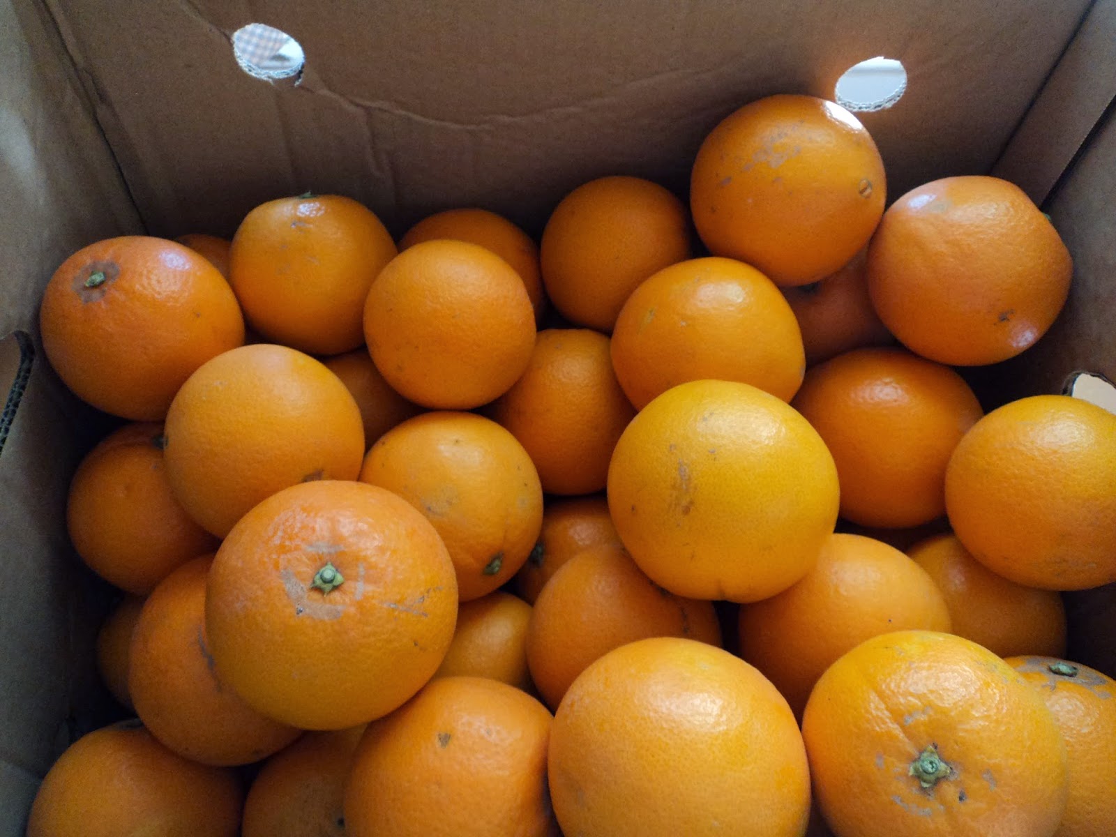 El Blog de una Principiante: Naranjas Tradicionales