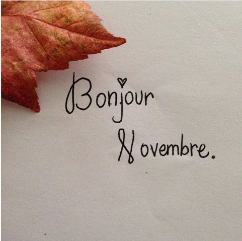 Bonjour Novembre - BLOG FRANCÉS LAS CLARAS DEL MAR MENOR
