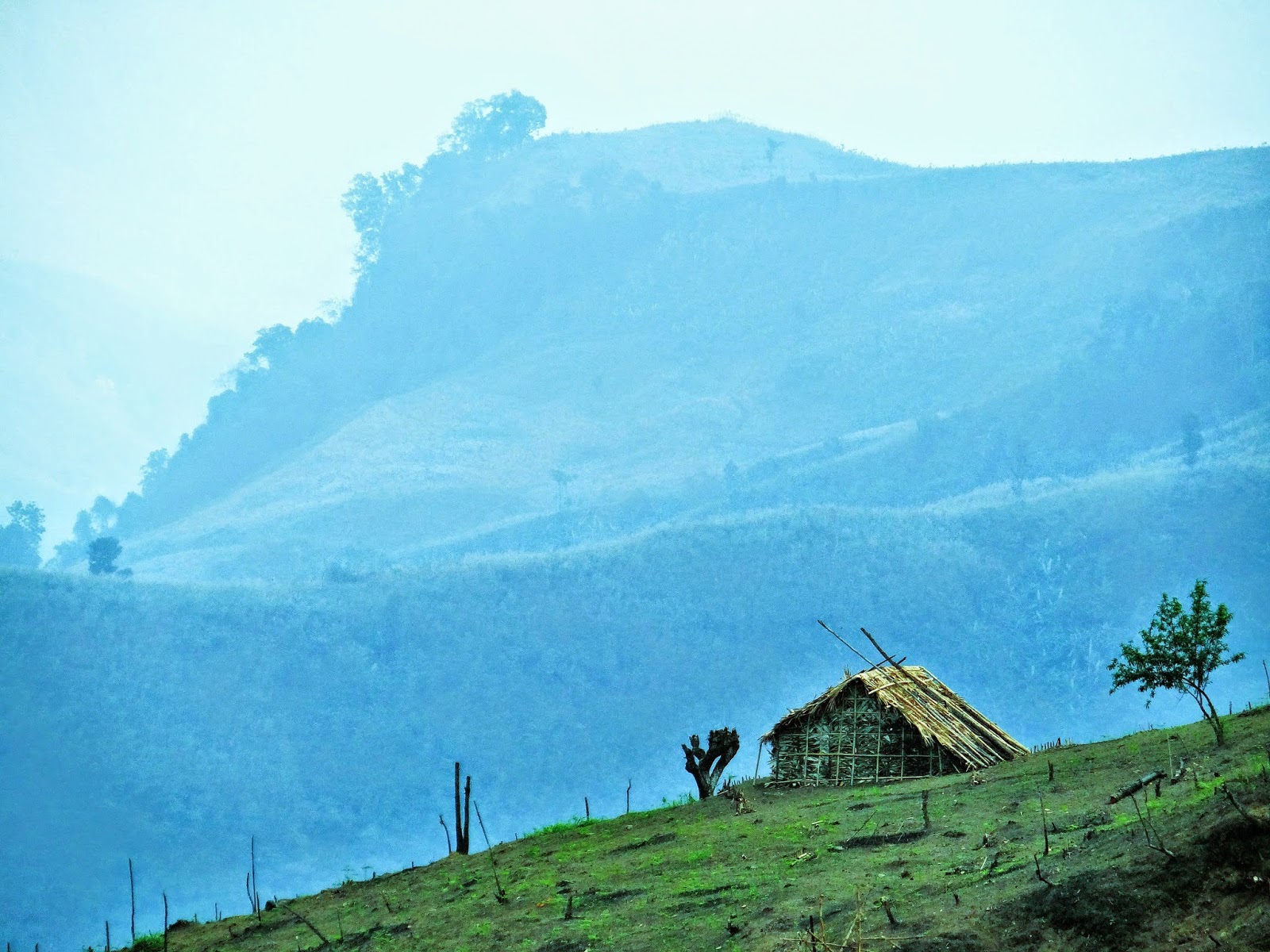 THE WANCHO: ENCHANTED GLIMPSE OF THE WANCHO INHABITED LONGDING DISTRICT ...