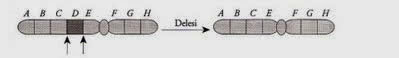 Mutasi, Sub bab Mutasi Kromosom - Biologi Edukasi: Belajar Sains Biologi