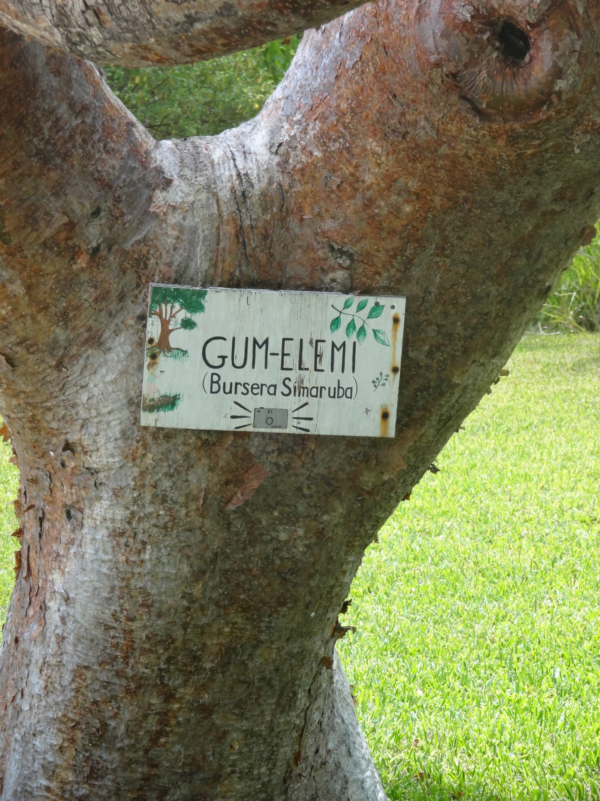 Shambala Sails: Great Guana Cay