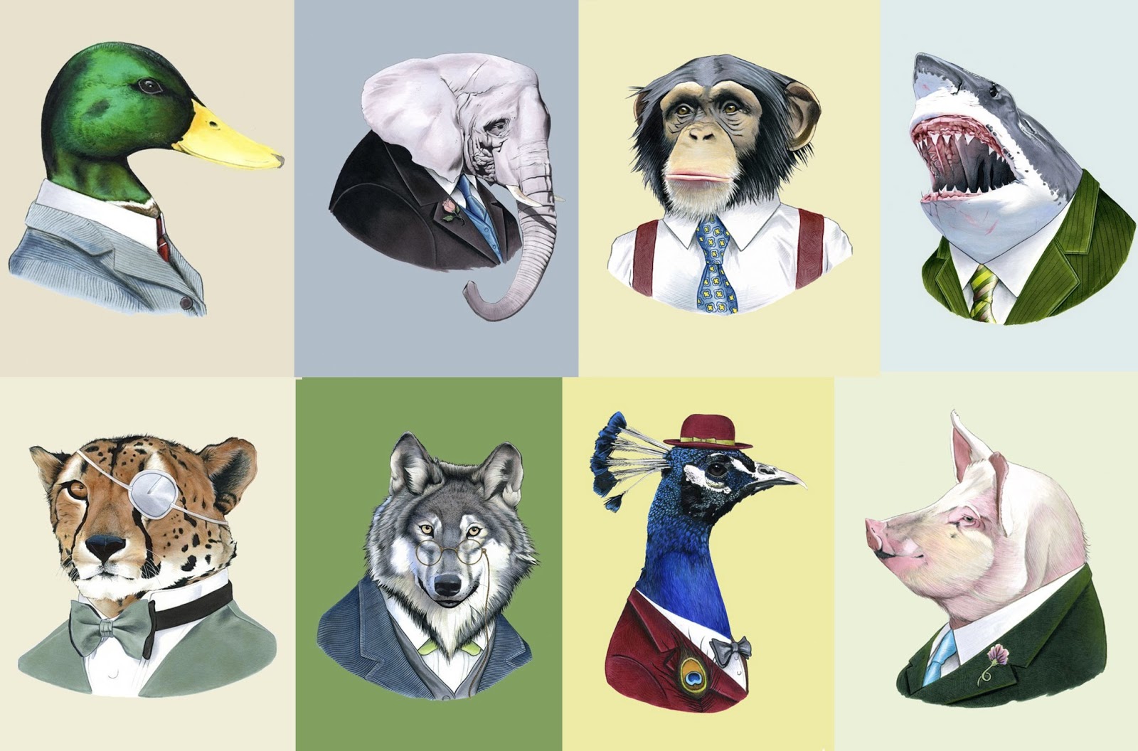 Personification Pictures Of Animals