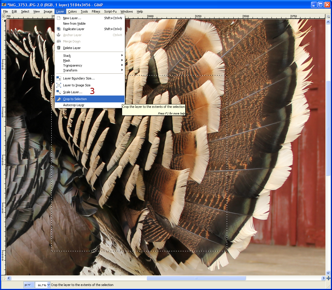 Clown Fish Cafe: GIMP Tutorial: How to Make a Rectangular Pattern