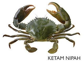 Forest Dweller: Khasiat Ketam Bunga