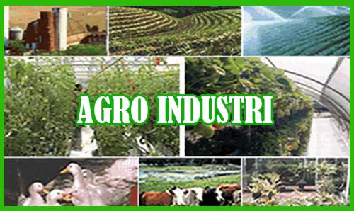 Pengertian Agroindustri - Batik Honest