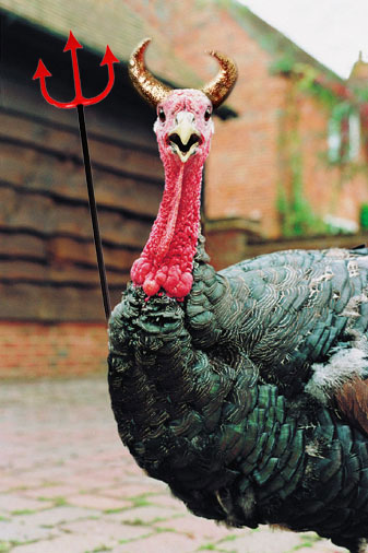 Something wicKED this way comes....: Christmas pushing out Thanksgiving ...