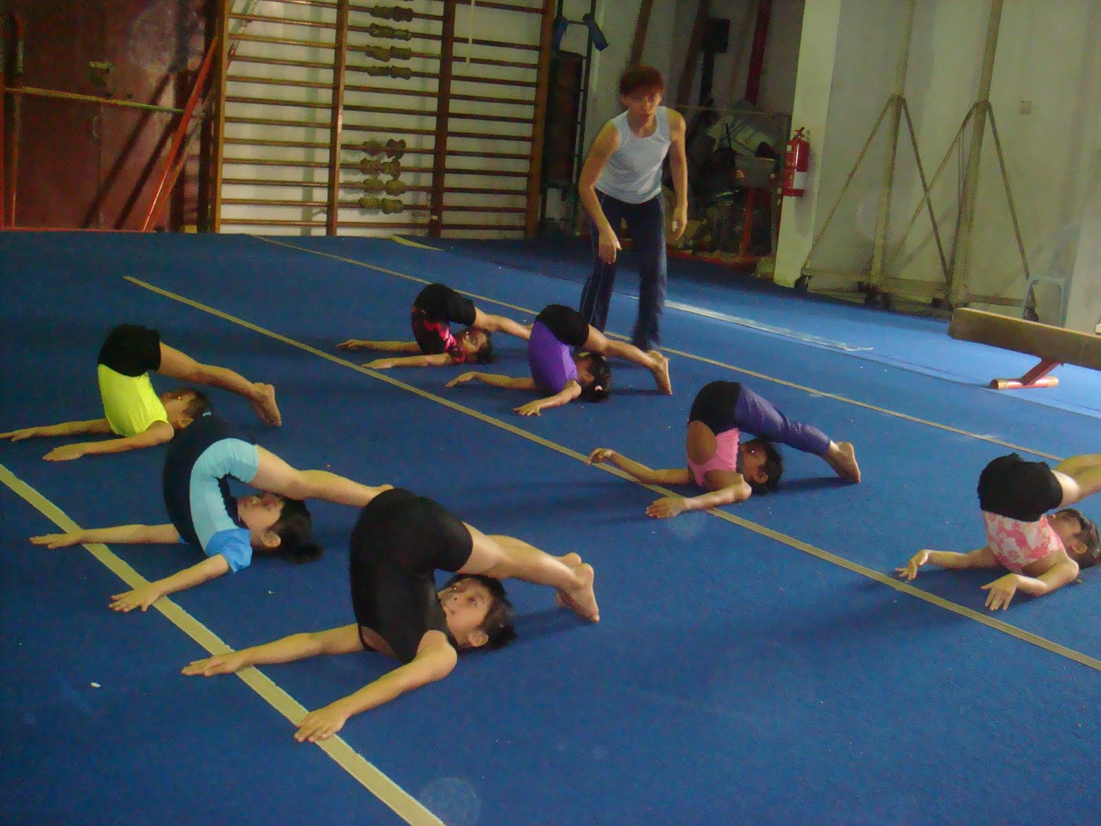 USPTN SELANGOR: Pemantauan Pusat Latihan Gimnastik Artistik