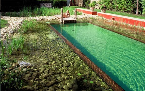 Ecological Pools: Natural Swimming Ponds Home | Garden Park