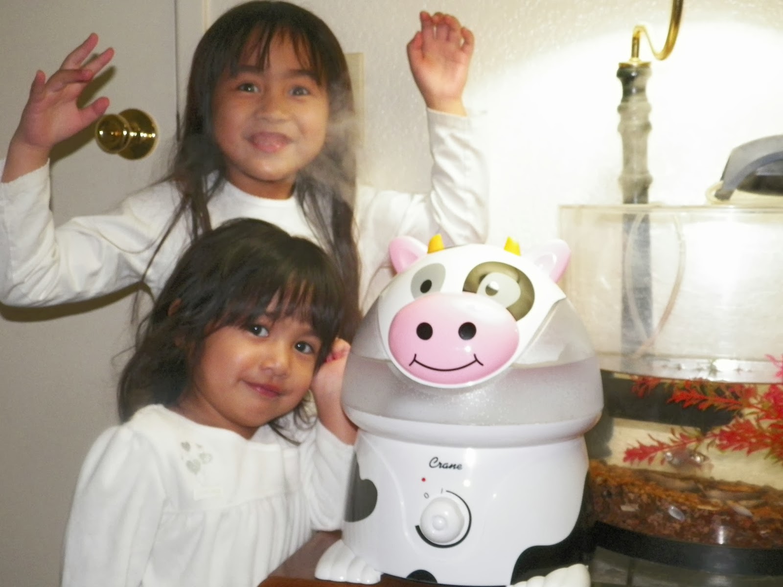 mygreatfinds: Crane "Curtis the Cow" Cool Mist Humidifier Review
