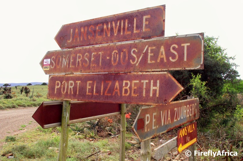 Port Elizabeth Daily Photo: Old Road signs