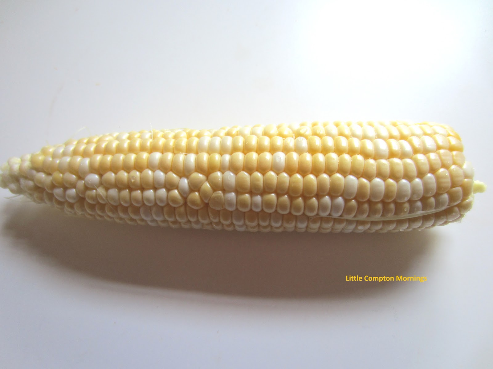 Little Compton Mornings: August Corn III: Corn Fritters