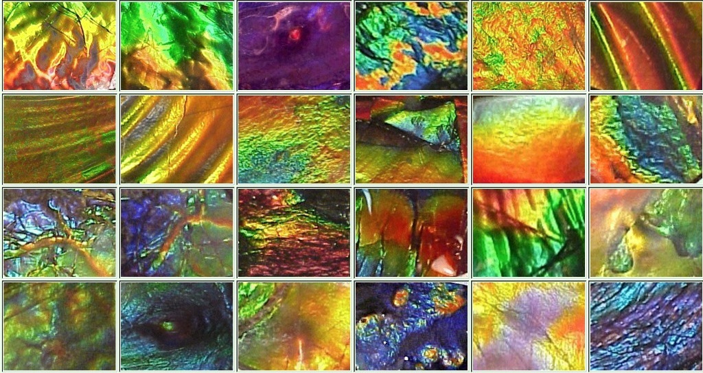 Ammolite: Gemstone with Iridescent Colors! - Geology In