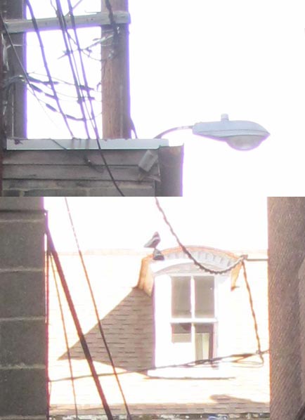 Gurney Journey: Light Spill