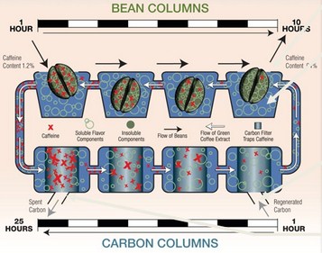 DECAFFEINATED COFFEE FACTS | WIKI COFFEE | COFFEEANA - For Coffee Lovers
