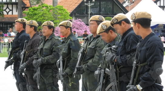 budakhutankampung: Sejarah Penubuhan Komando VAT 69