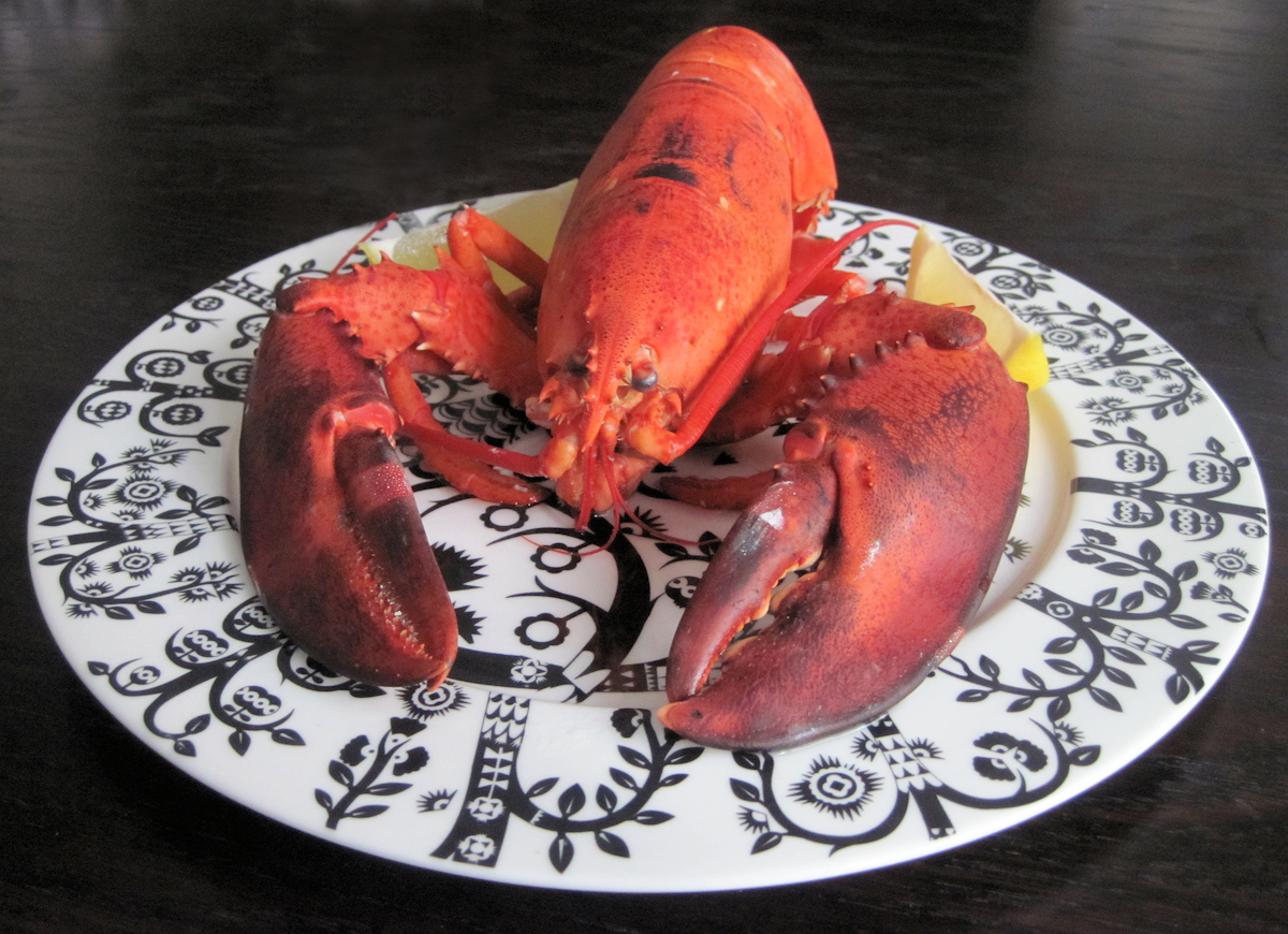 Keittiönatsi: Keitetty hummeri