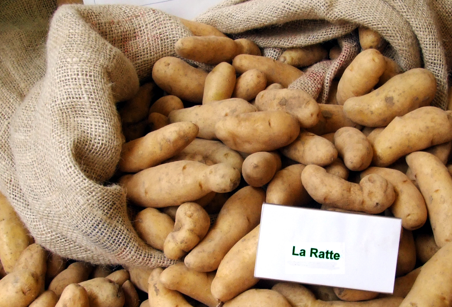 More Cookbooks Than Sense: January 2013