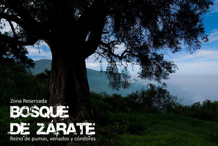 Zona Reservada Bosque de Zárate
